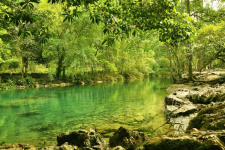 Khu di tích Quốc gia đặc biệt Pác Bó