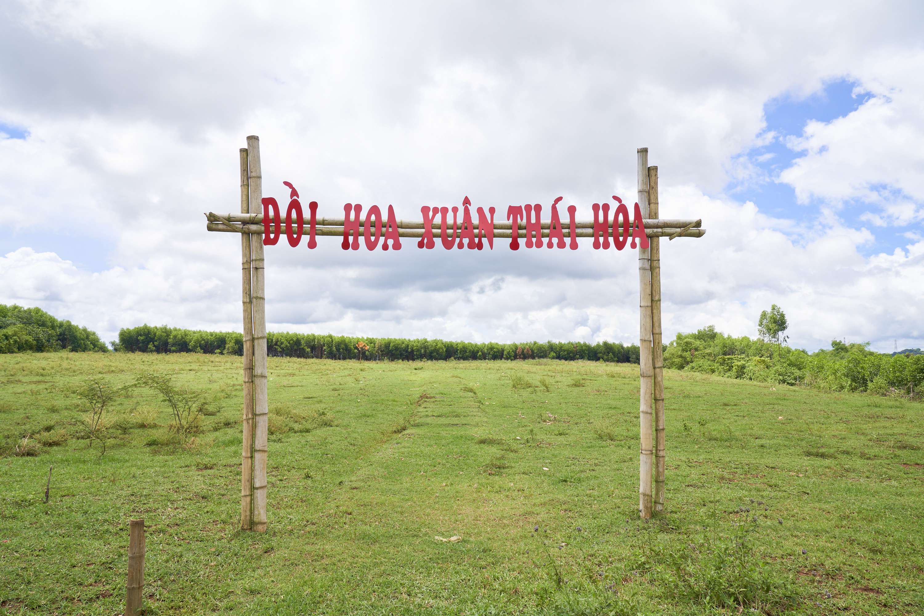 SPRING FLOWER HILL - THAI HOA TOWN